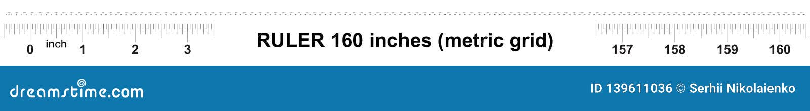 Ruler 160 Inches. Metric Inch Size Indicator. Decimal System Grid Stock ...