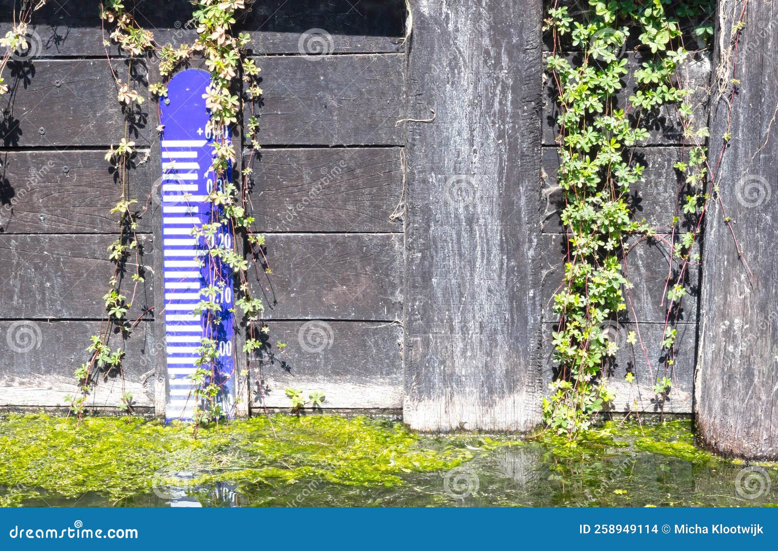Ruler Indicating the Height of the Water Stock Photo - Image of season ...