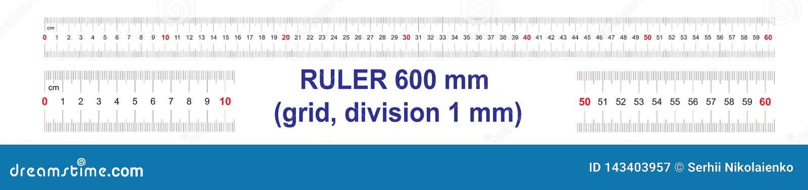 Ruler Of 600 Millimeters. Ruler Of 60 Centimeters. Calibration Grid ...