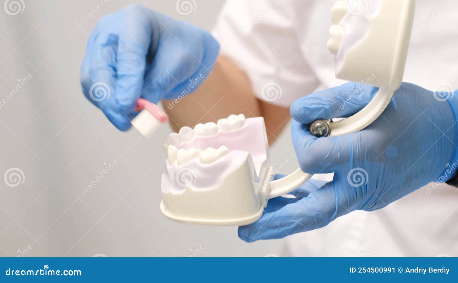 Rules of Brushing Teeth on the Model Stock Video - Video of toothbrush ...