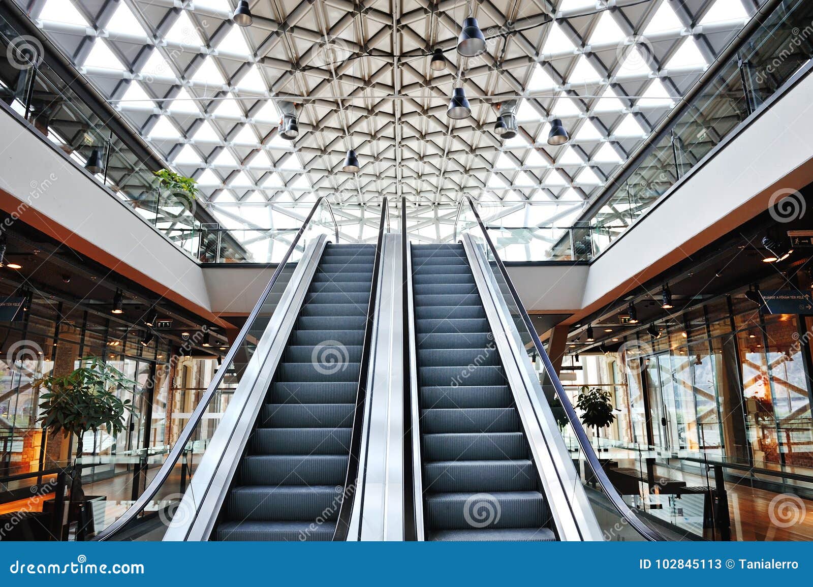 Rulltrappa I En Modern Byggnad Fotografering för Bildbyråer - Bild av ...