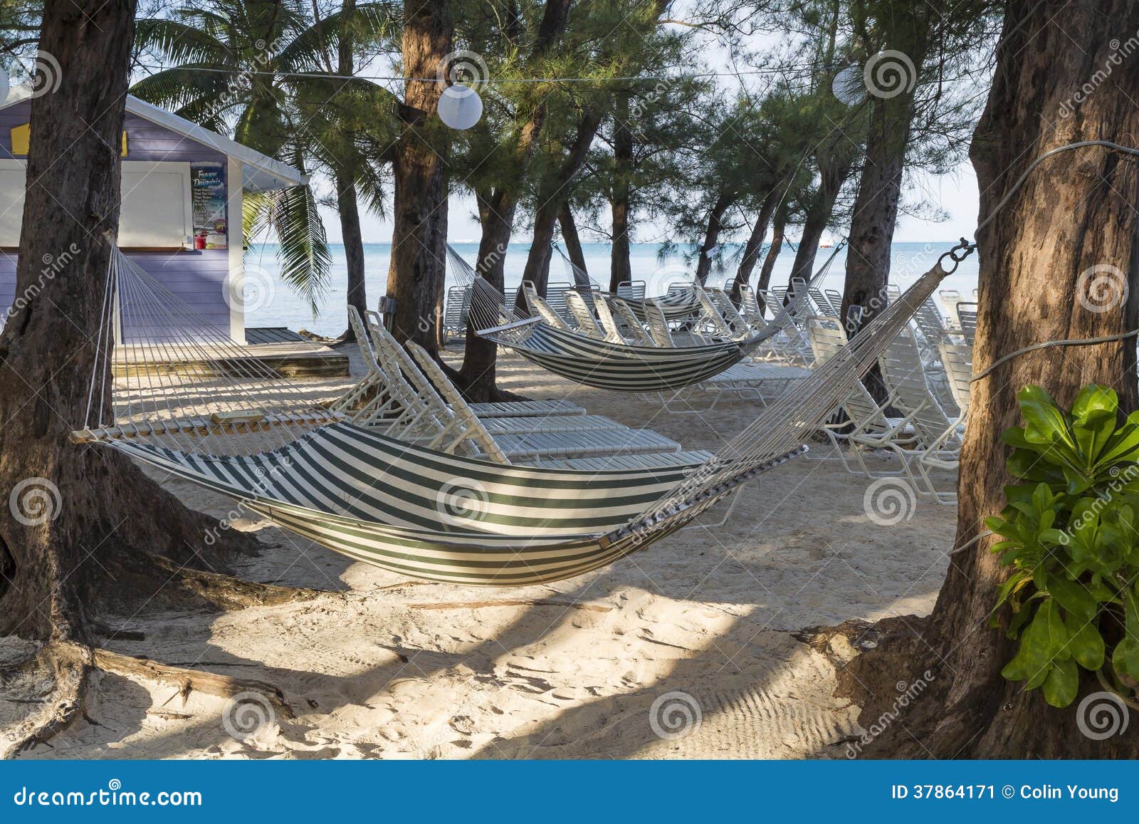 Rum Point Hammocks stock image. Image of british, nautical - 37864171