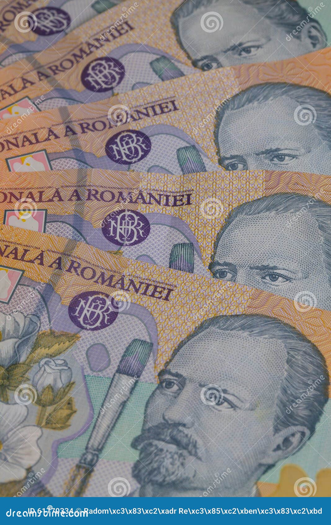 Rumeno Differente Lei Banknotes Fotografia Stock - Immagine di ricco ...