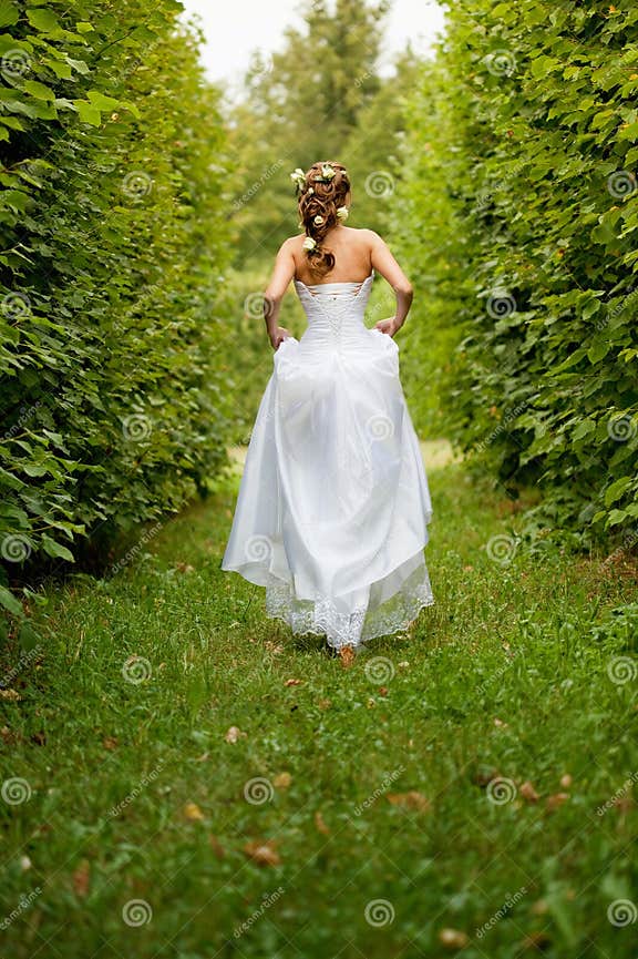 Run away bride stock photo. Image of leaving, indoors - 17281844