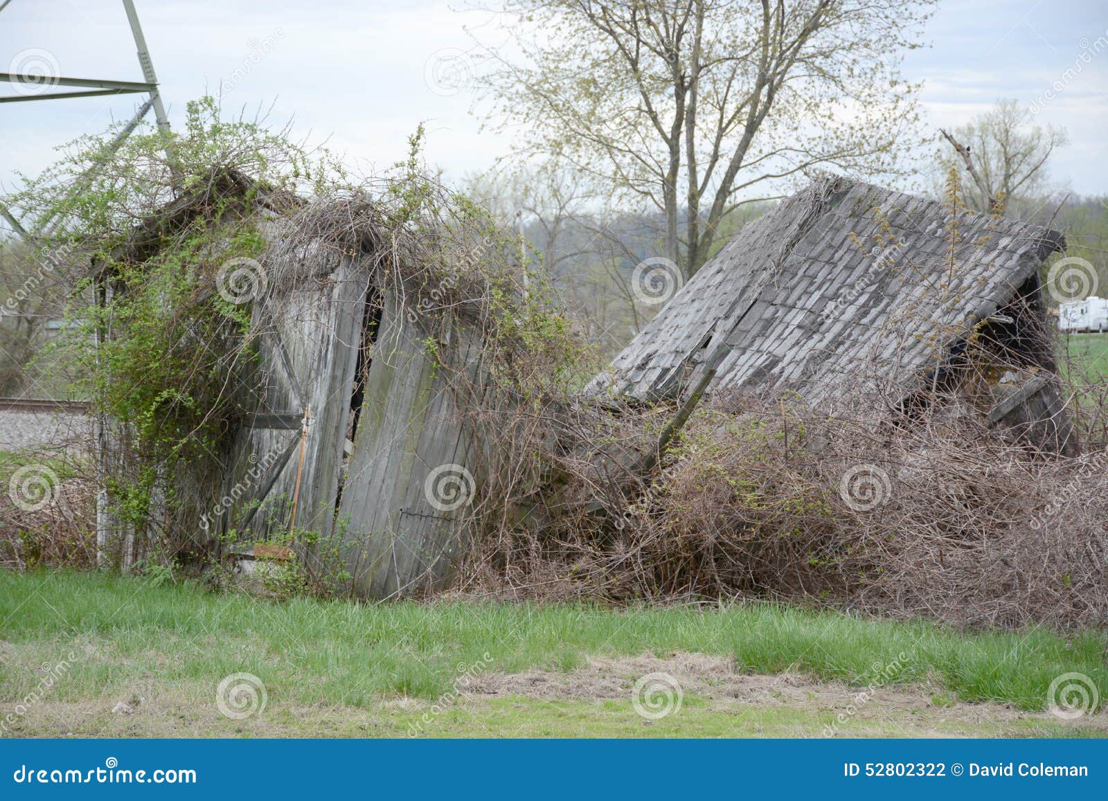 Run down stock photo. Image of wood, brush, collapsed - 52802322