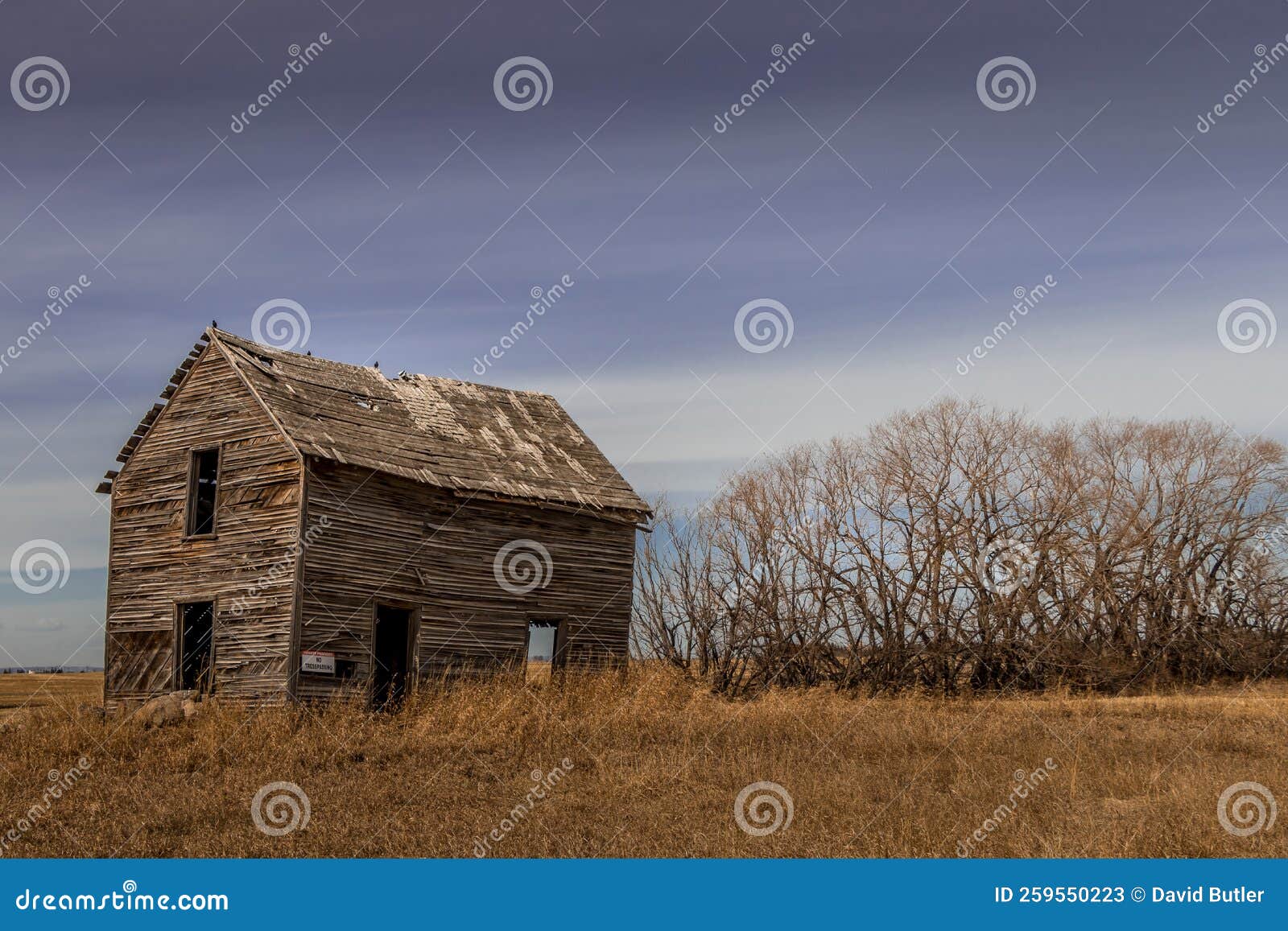 Run Down Farm Buildings Indus Alberta Canada Stock Image - Image of ...