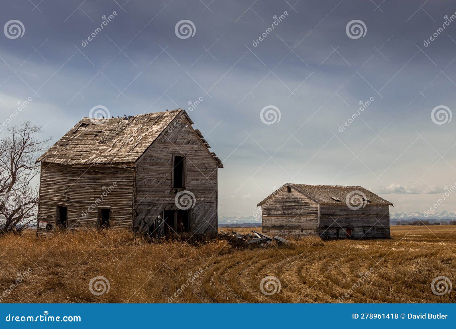 Run Down Farm Buildings Indus Alberta Canada Stock Photo - Image of ...