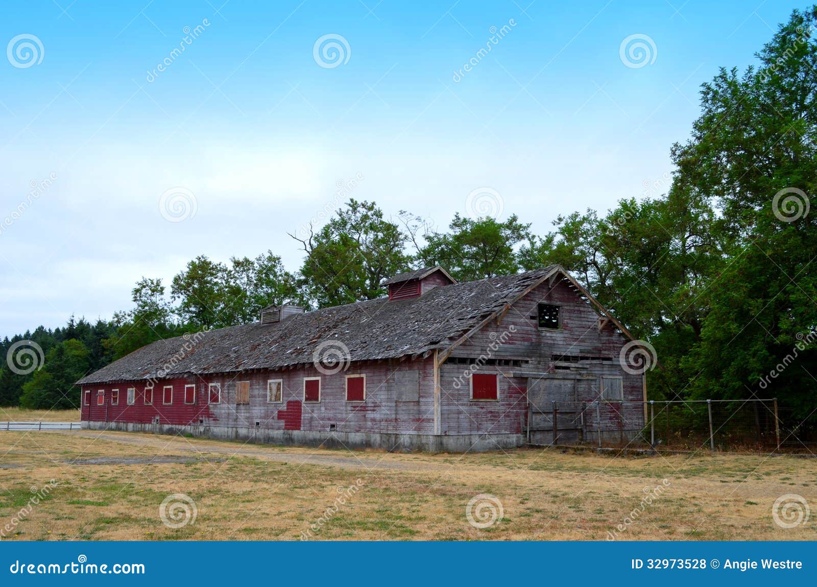 Run Down Horse barn stock photo. Image of wood, country - 32973528
