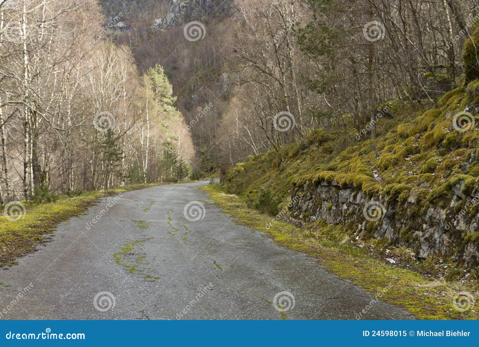 Run-down Road in Rural Landscape Stock Image - Image of nature, rural ...