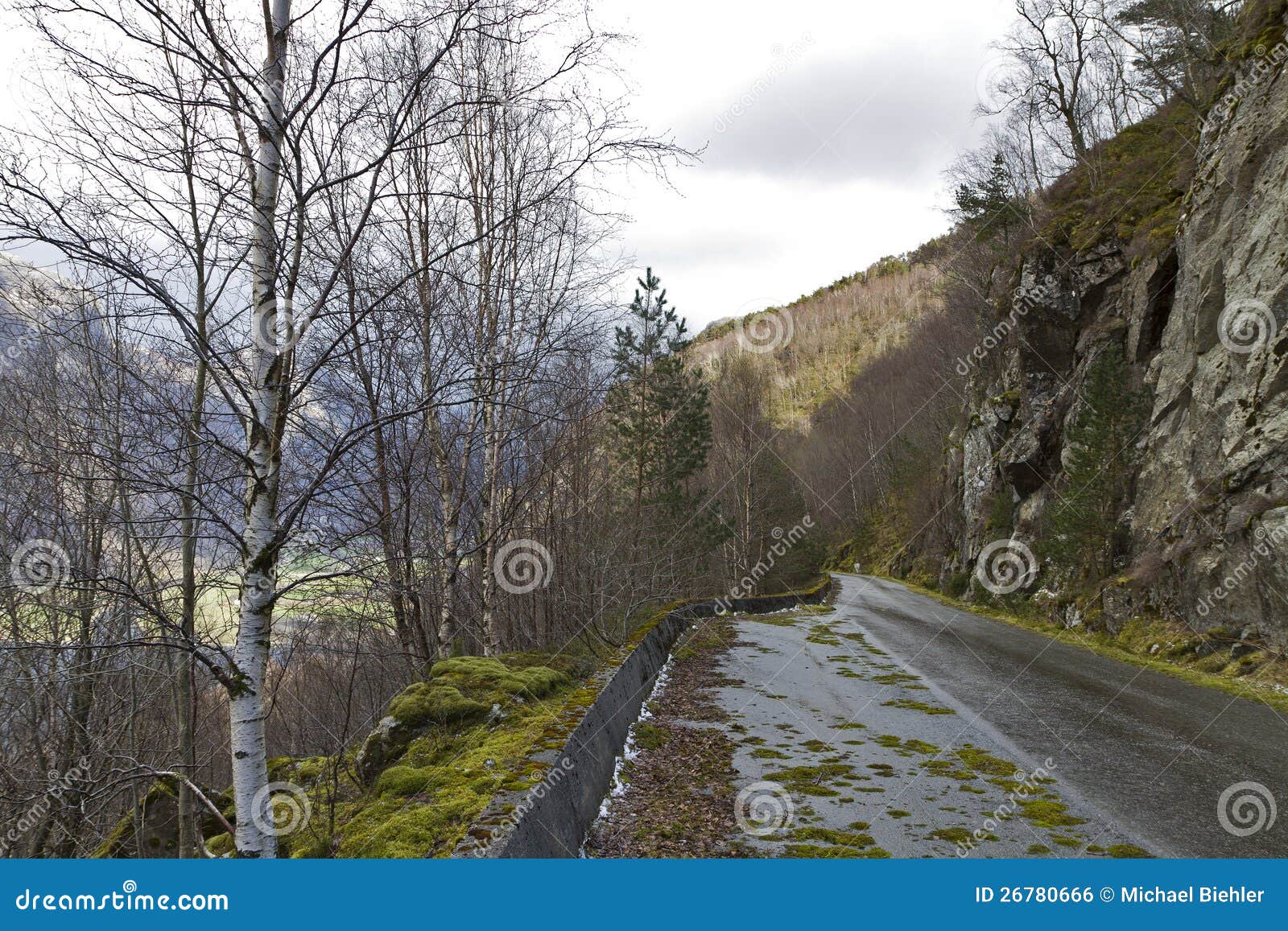 Run-down Road in Rural Landscape Stock Photo - Image of conifer, moss ...