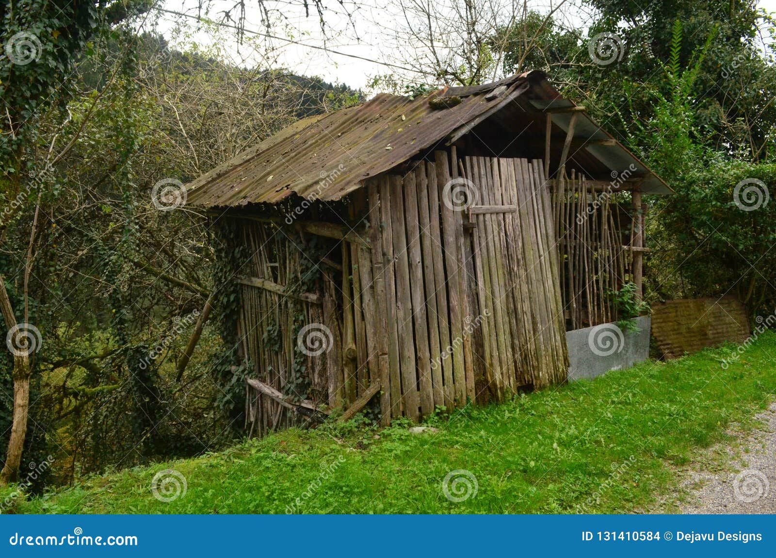 Run Down Shack with Vines Growing Around it Stock Photo - Image of ...
