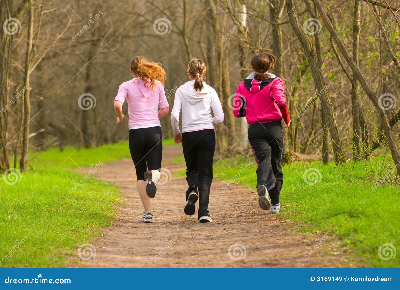 Run through forest stock image. Image of healthy, lane - 3169149