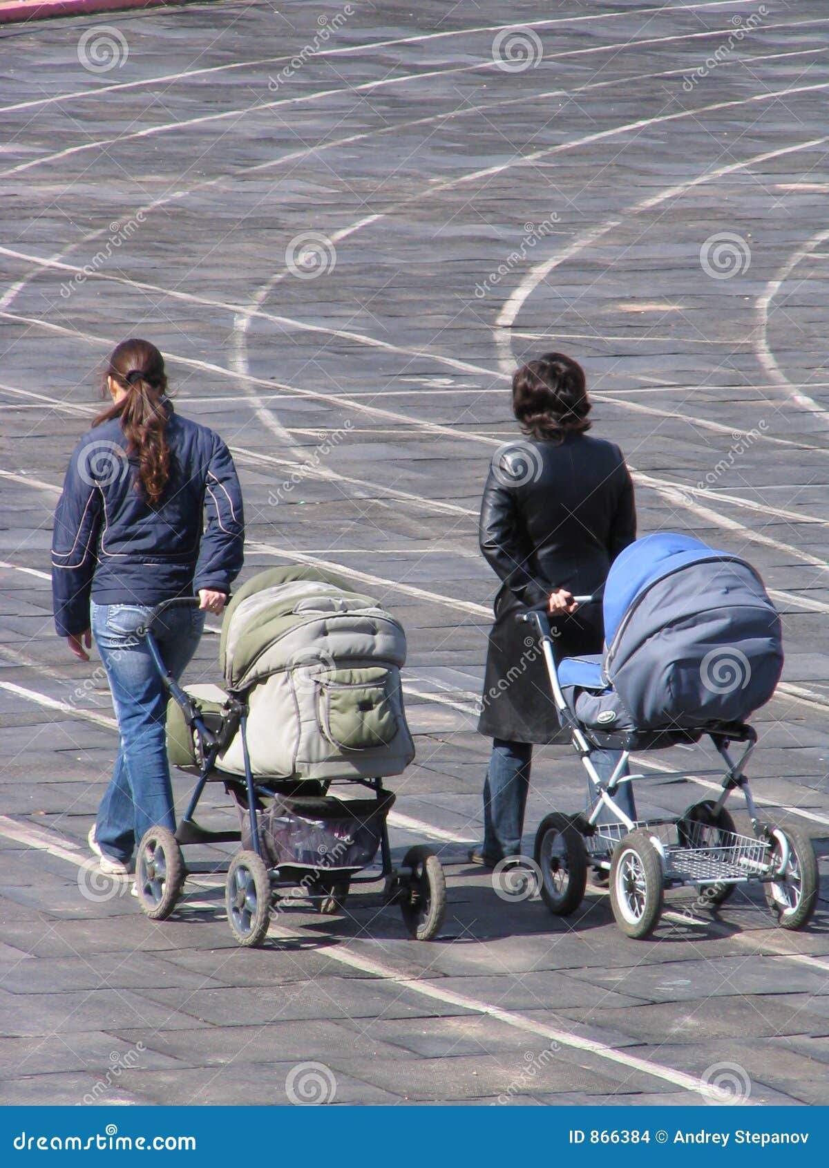 Run on a short distance stock photo. Image of dear, native - 866384