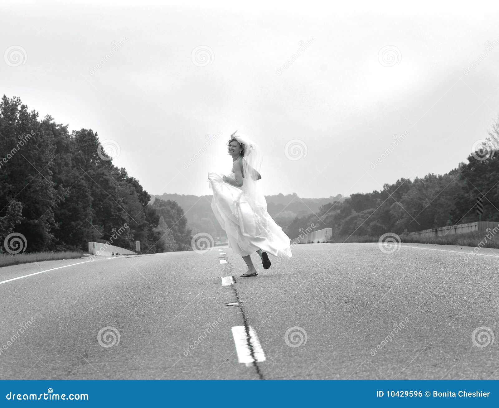 Runaway Bride stock photo. Image of beautiful, holding - 10429596