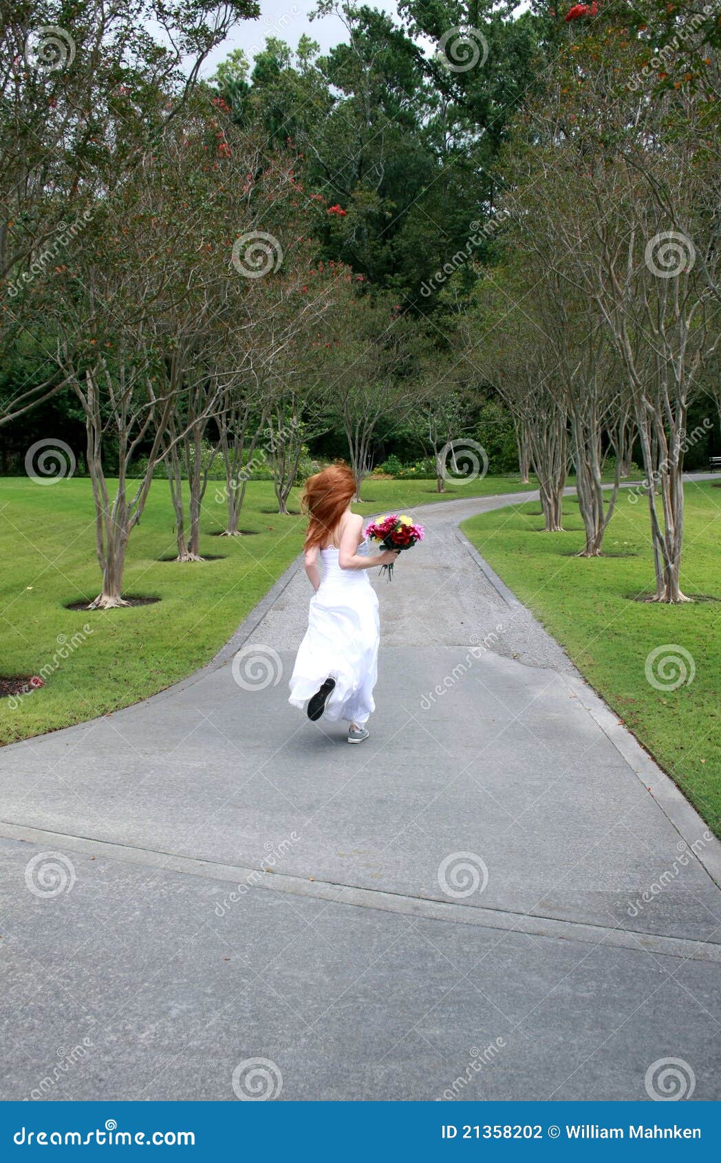 Runaway Bride stock photo. Image of single, conceptual - 21358202