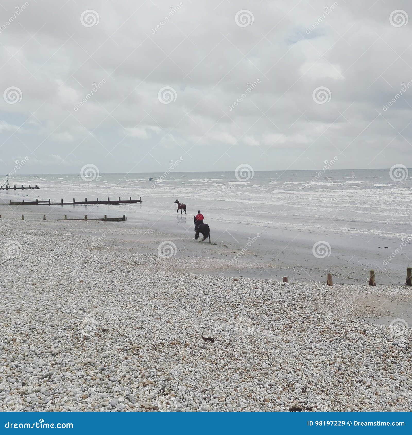 Runaway stock image. Image of england, runaway, horse - 98197229