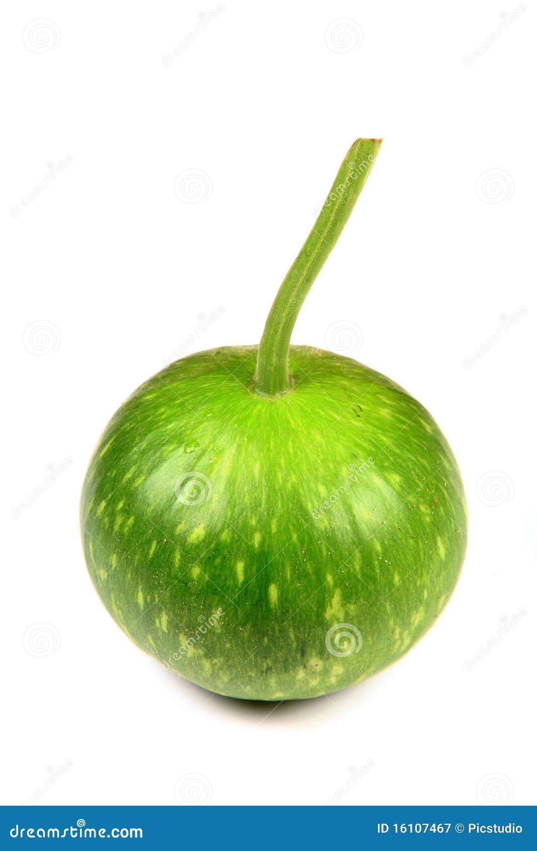 Rund kalebass fotografering för bildbyråer. Bild av ingredienser - 16107467