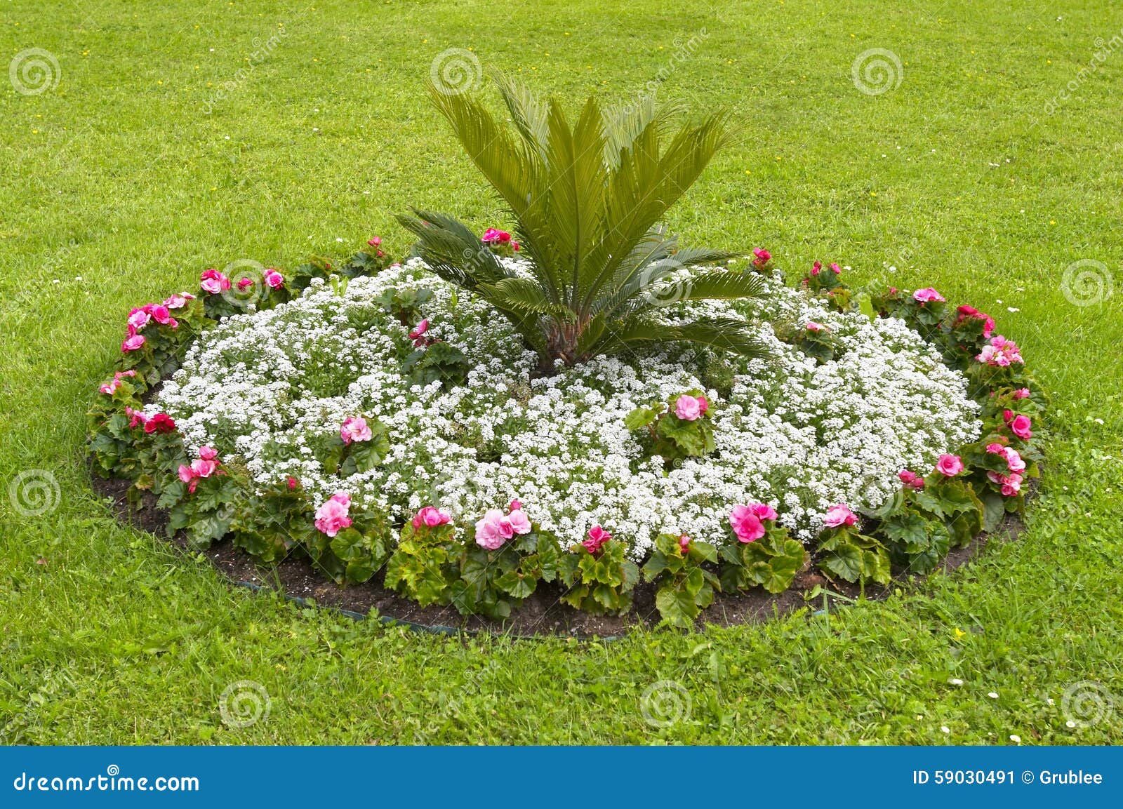 Rund rabatt fotografering för bildbyråer. Bild av gräs - 59030491