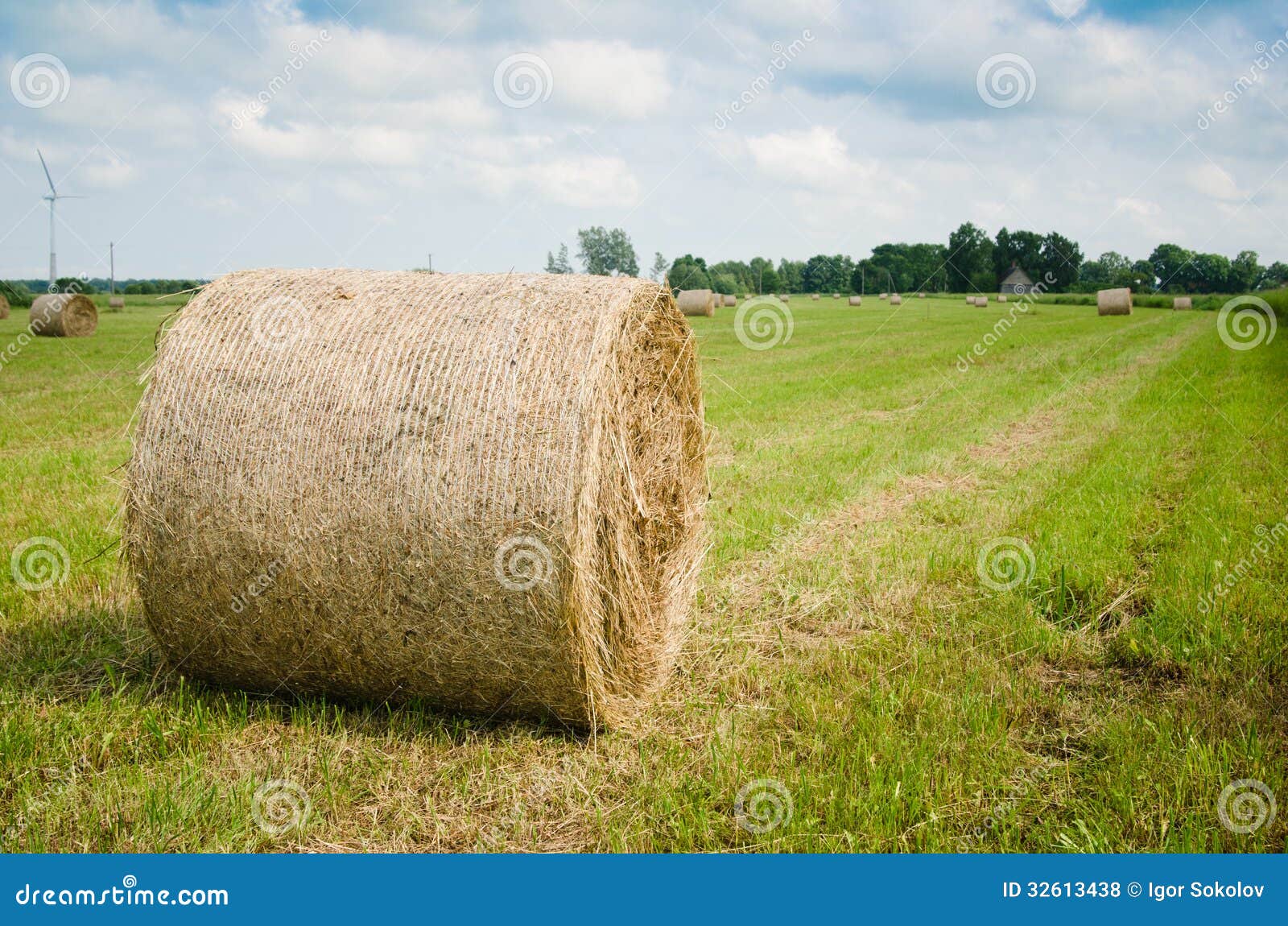 Runde Heuballen auf Wiese stockfoto. Bild von getreide - 32613438