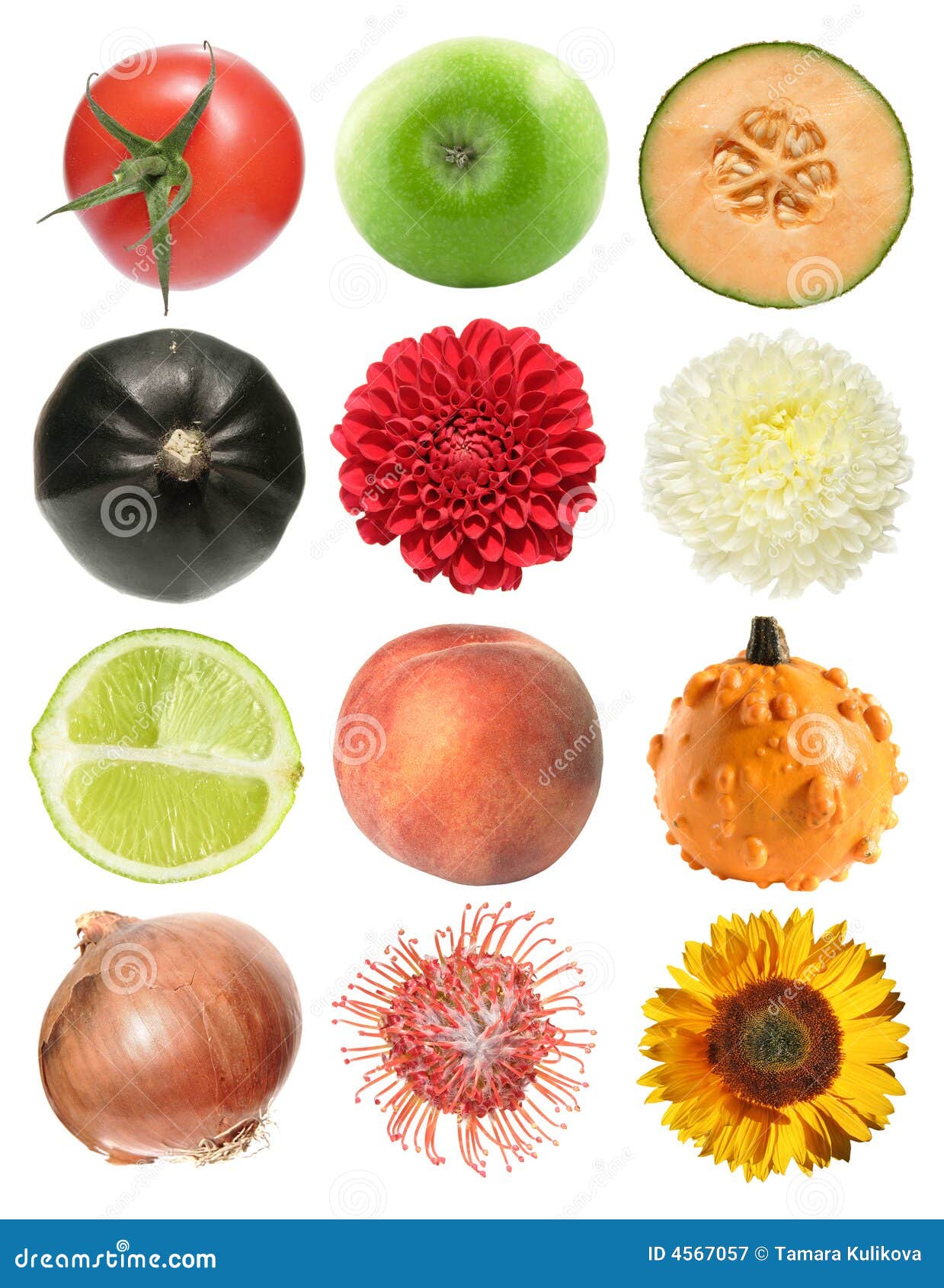 Runde Sachen stockbild. Bild von tomate, hintergrund, halb - 4567057