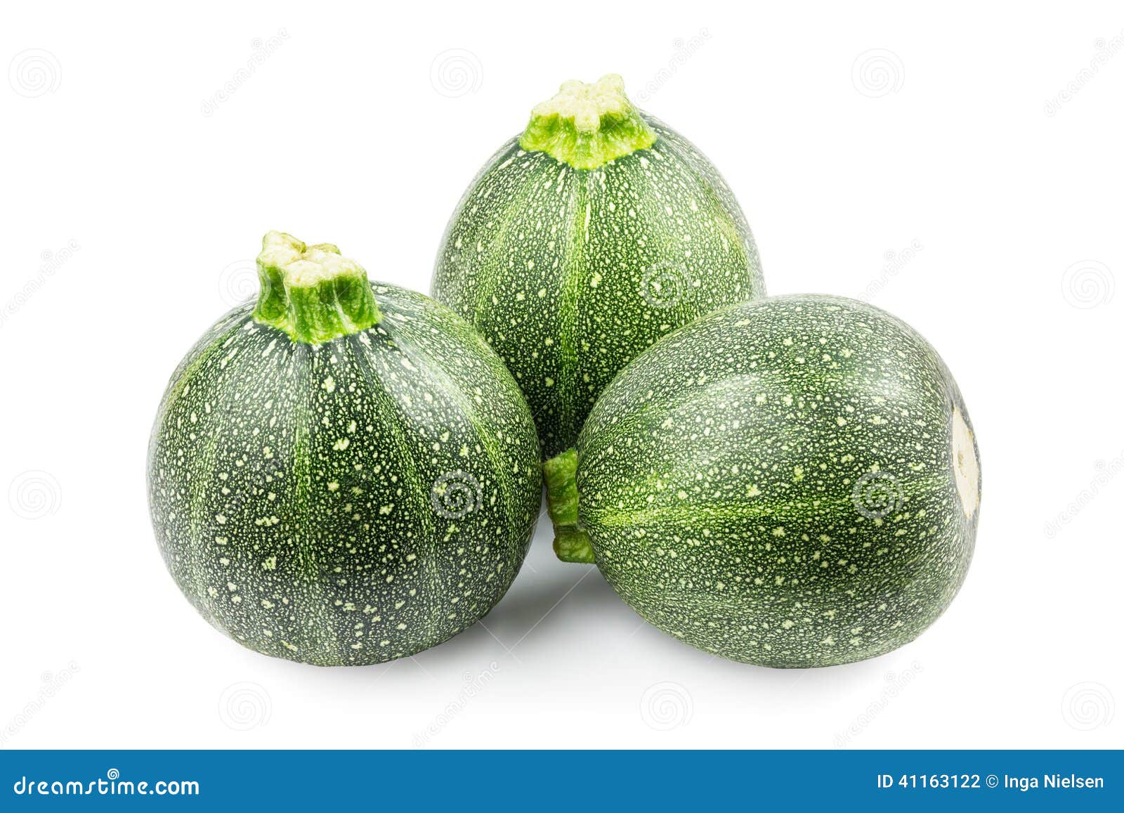 Runde Zucchini stockfoto. Bild von grün, bestandteil - 41163122