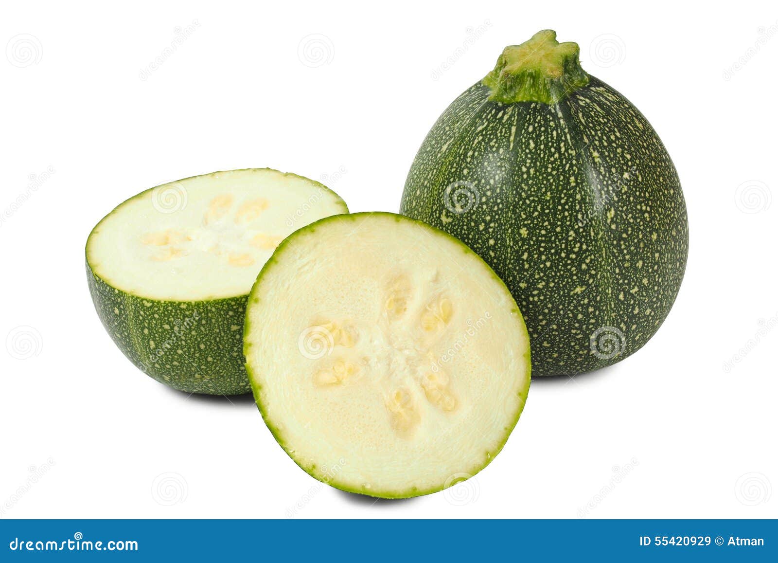 Runde Zucchini stockbild. Bild von gemüse, rund, gesund - 55420929