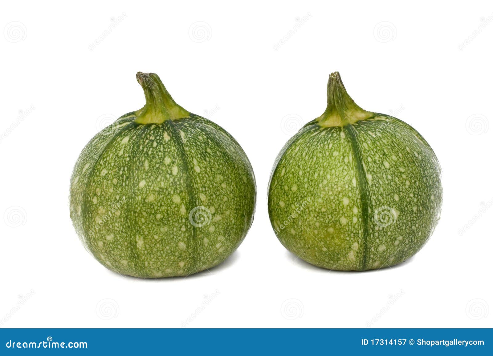 Runde Zucchini getrennt stockbild. Bild von gesund, ausschnitt - 17314157