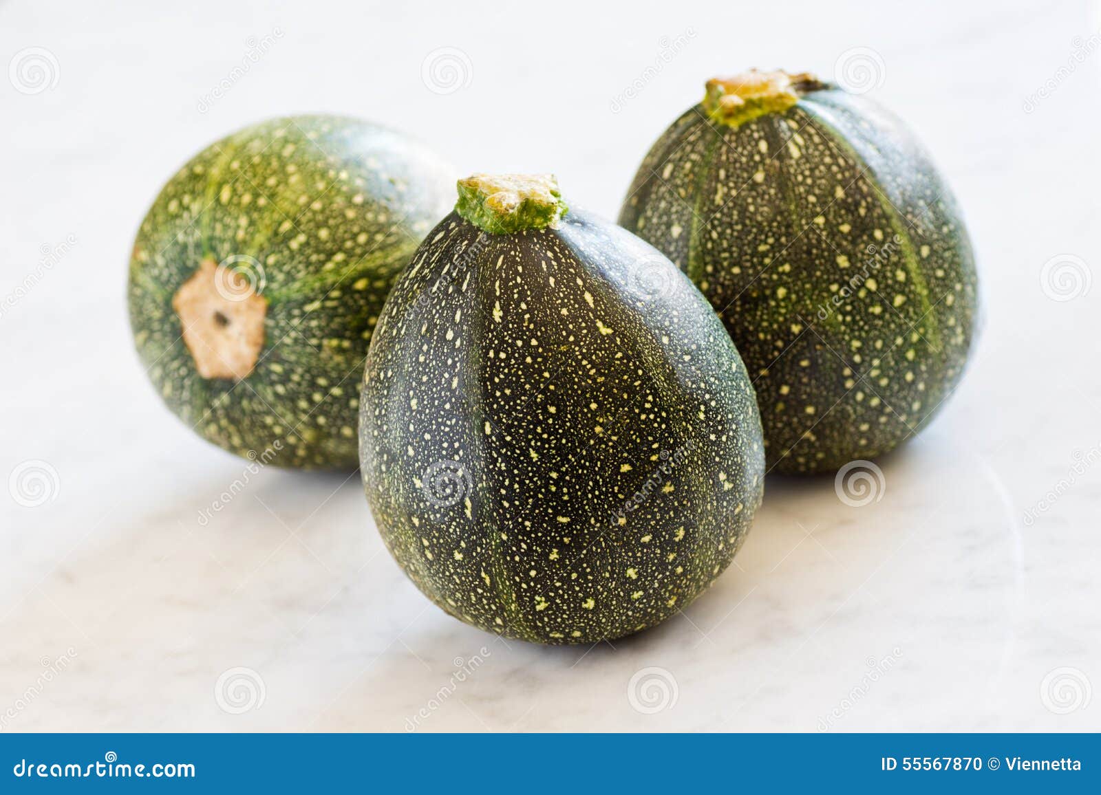 Runder Zucchini-oder Zucchini-Kürbis Stockfoto - Bild von vertikal ...