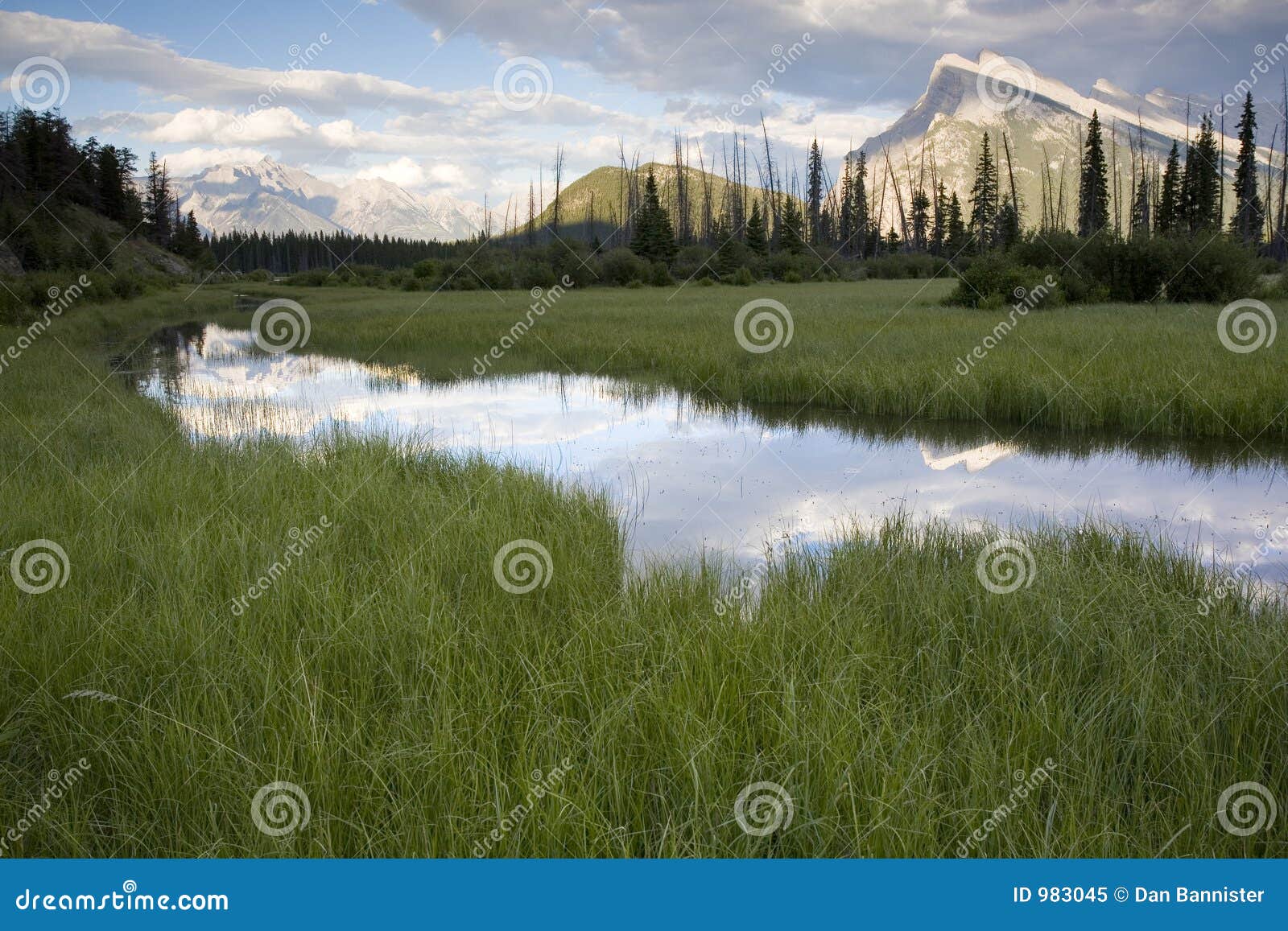 Rundle 1 stock image. Image of alberta, rundle, fenc, peak - 983045