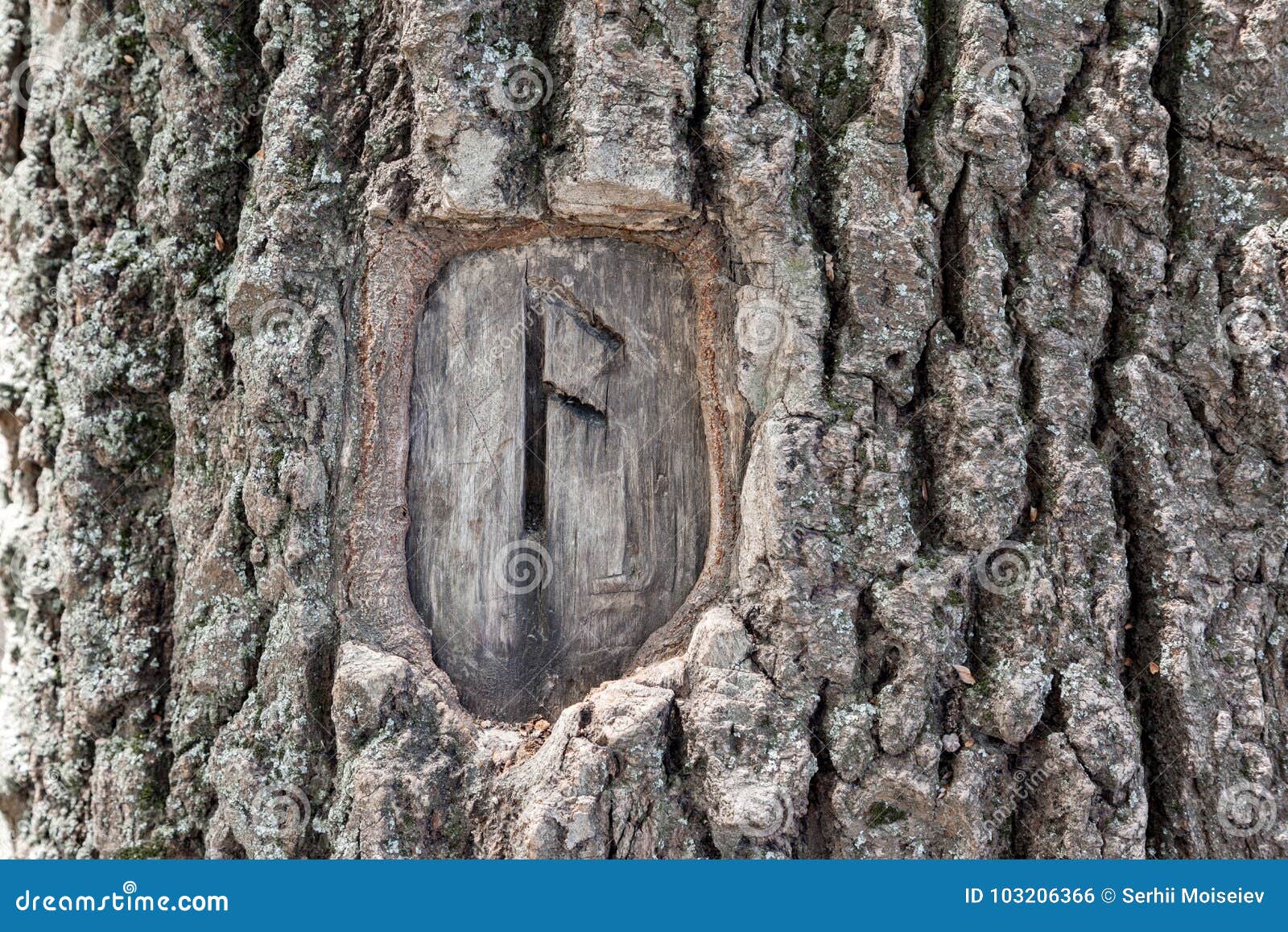 Rune Symbol Ansuz stock photo. Image of engraving, emblematize - 103206366