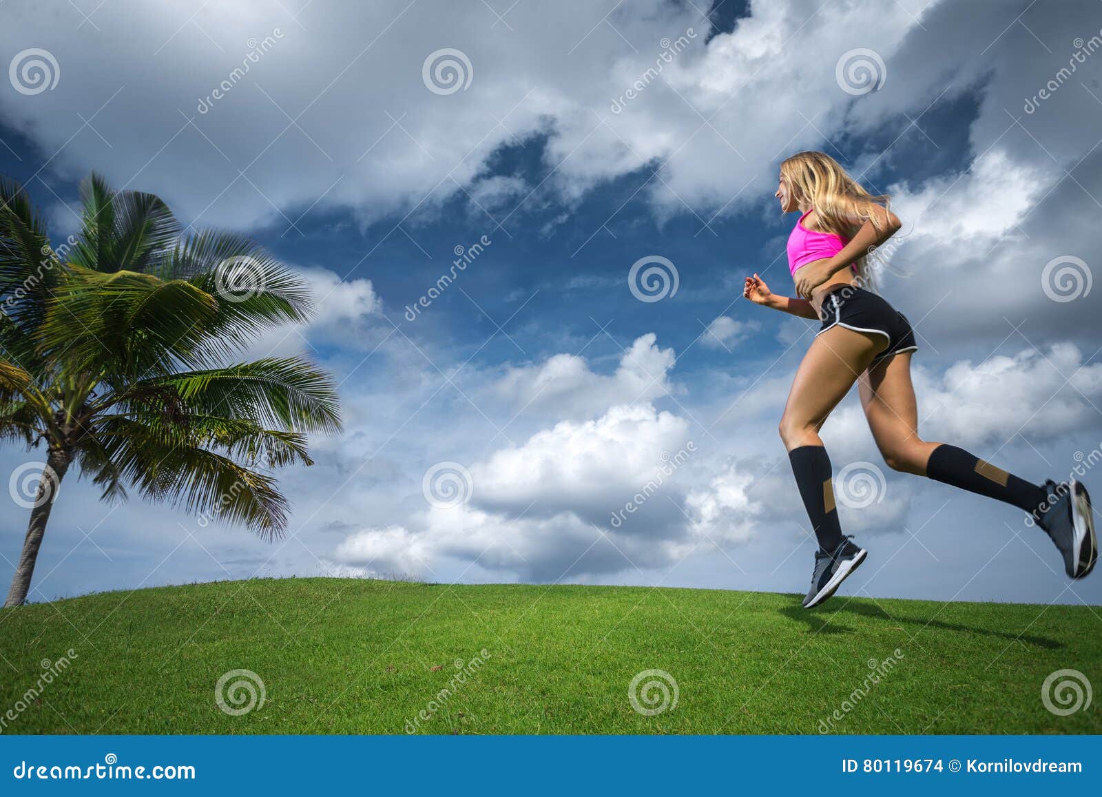 Runer stock photo. Image of activity, countryside, leisure - 80119674