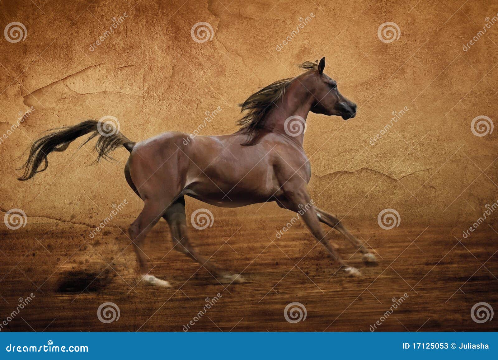 Runing Arabian horse stock image. Image of mane, runner - 17125053