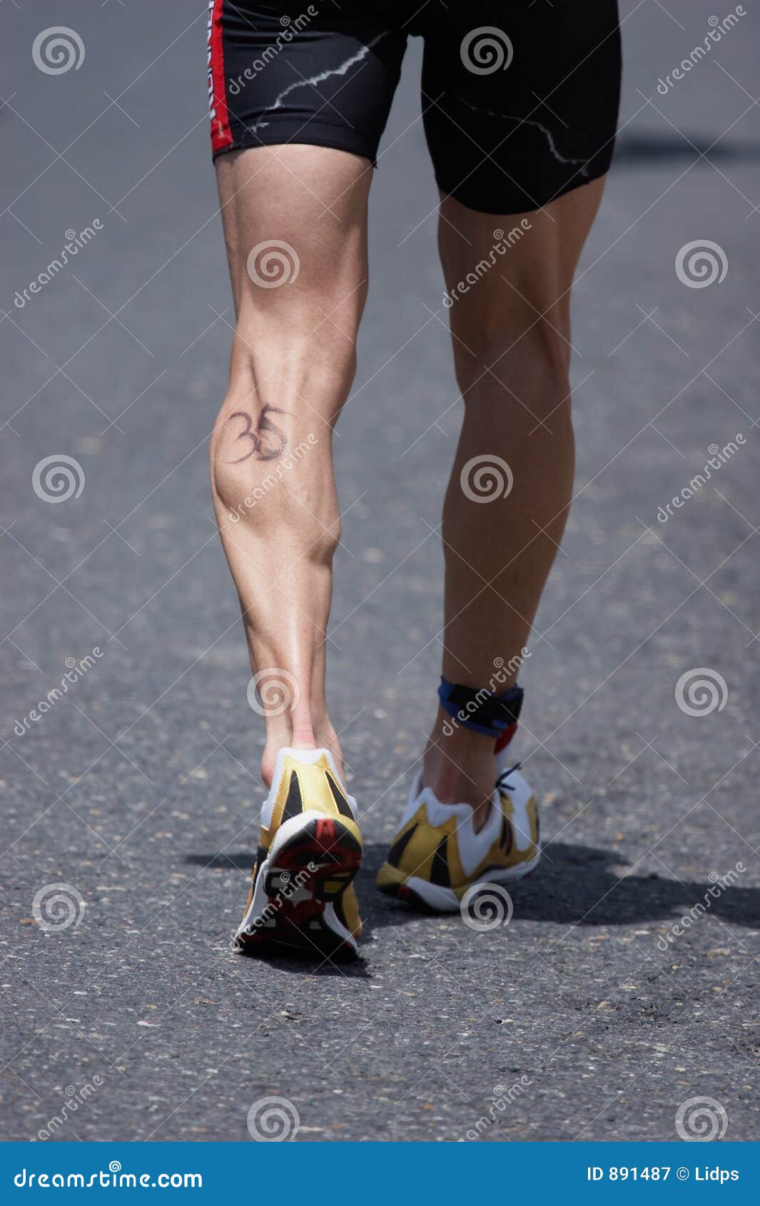 Runner’s Calf Muscle stock image. Image of running, athletic - 891487