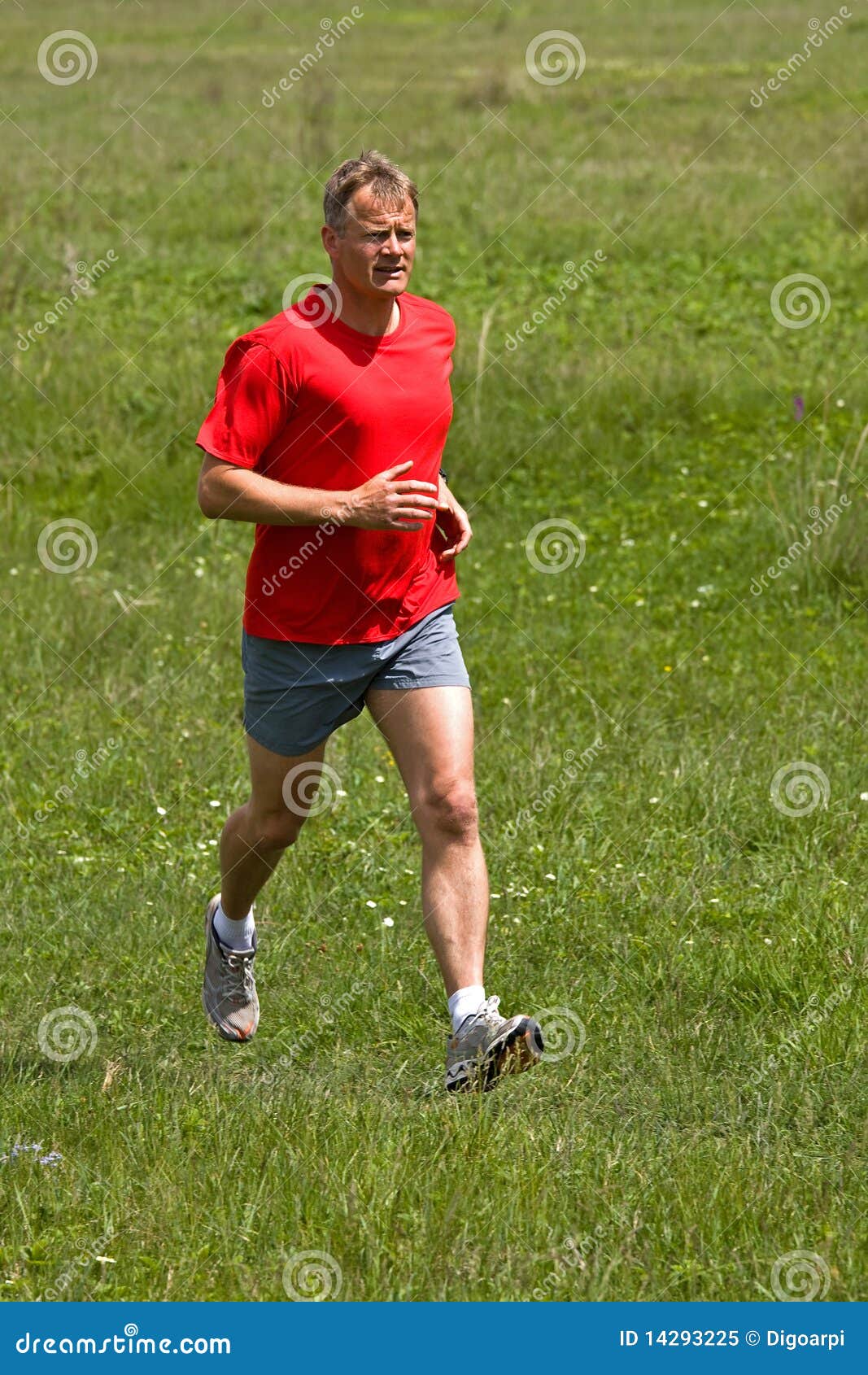 Runner stock image. Image of recreation, grass, quickly - 14293225