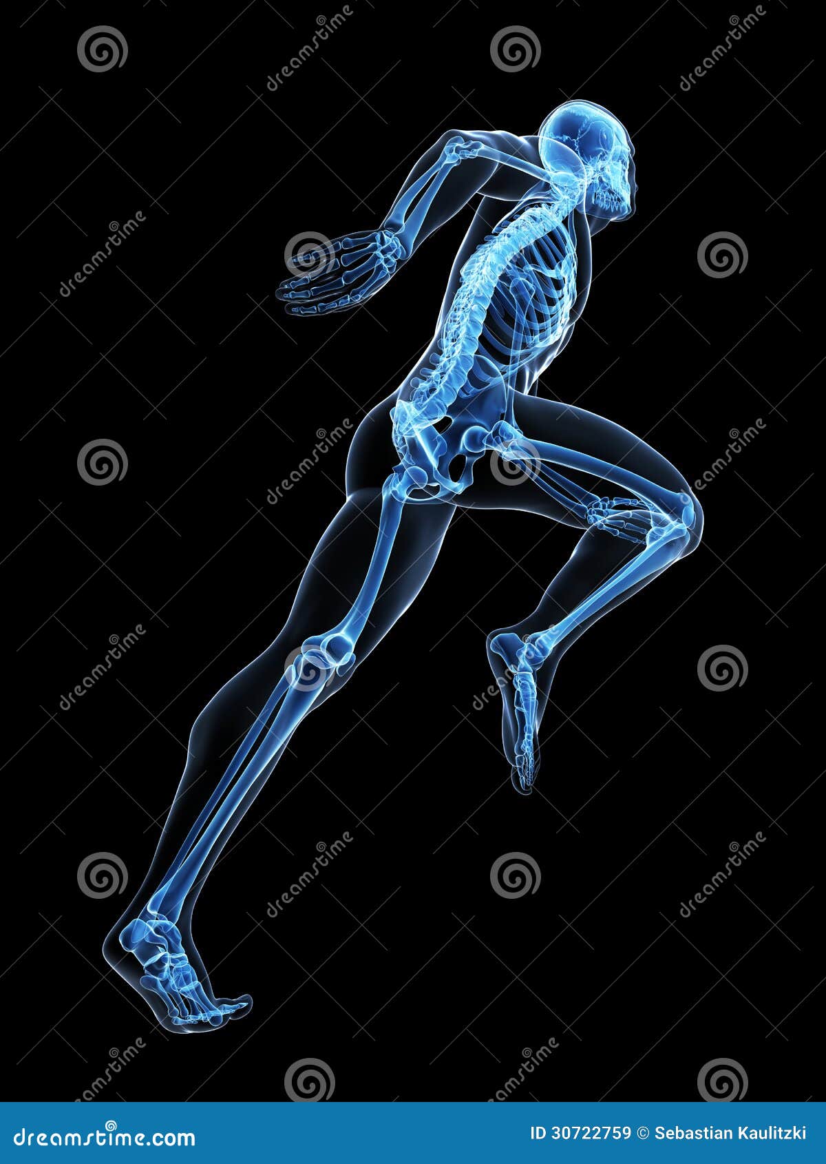 Runner anatomy stock illustration. Illustration of body - 30722759
