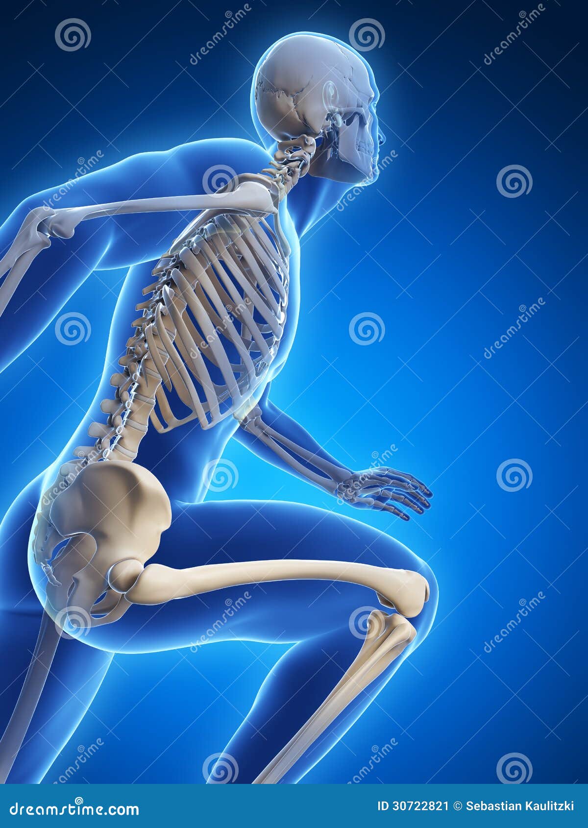Runner anatomy stock illustration. Illustration of body - 30722821