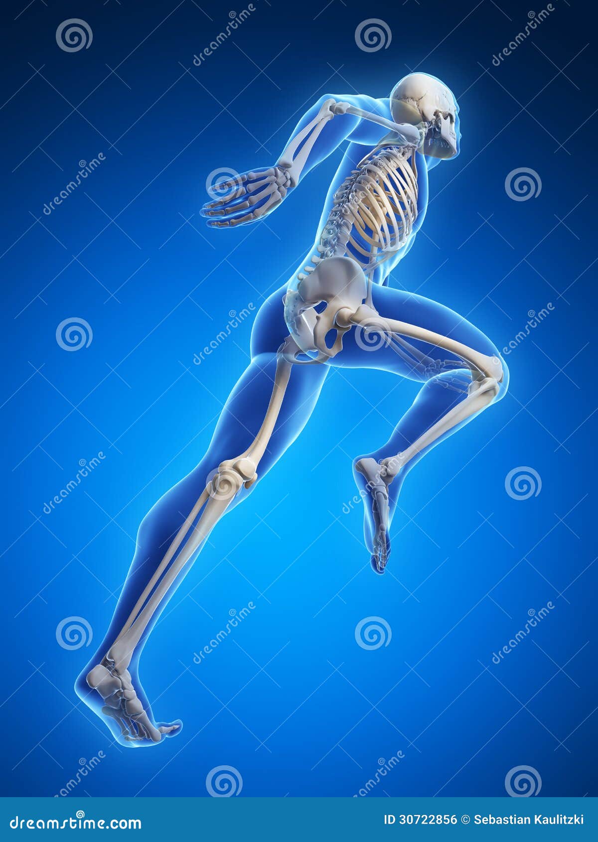 Runner anatomy stock illustration. Illustration of sports - 30722856