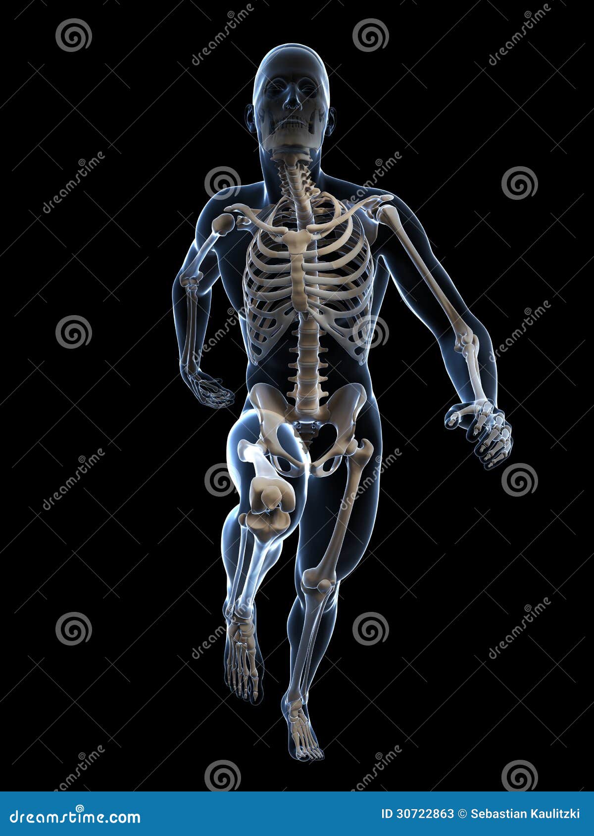 Runner anatomy stock illustration. Illustration of anatomy - 30722863