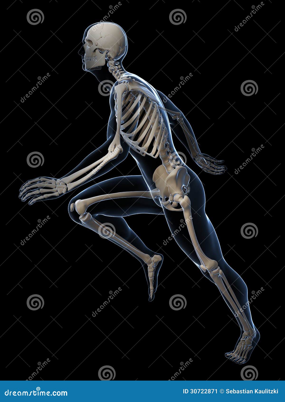 Runner anatomy stock illustration. Illustration of walking - 30722871