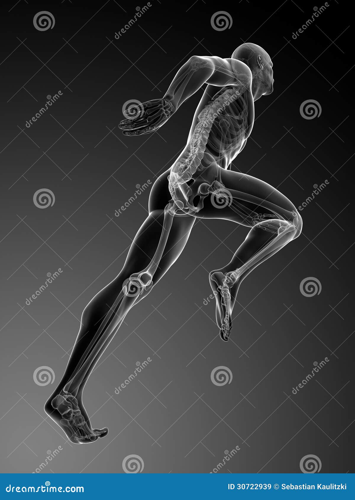 Runner anatomy stock illustration. Illustration of human - 30722939