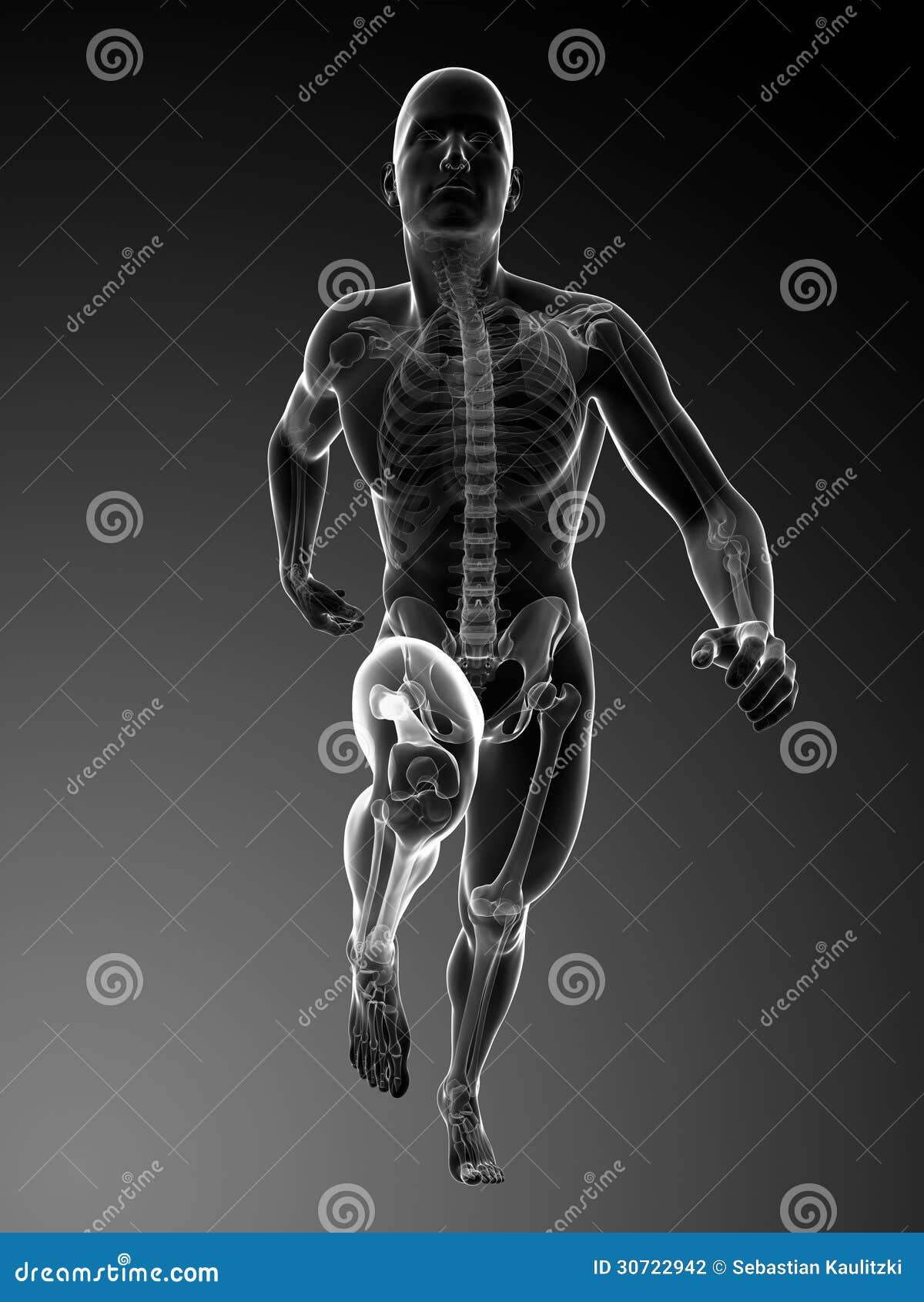Runner anatomy stock illustration. Illustration of walking - 30722942