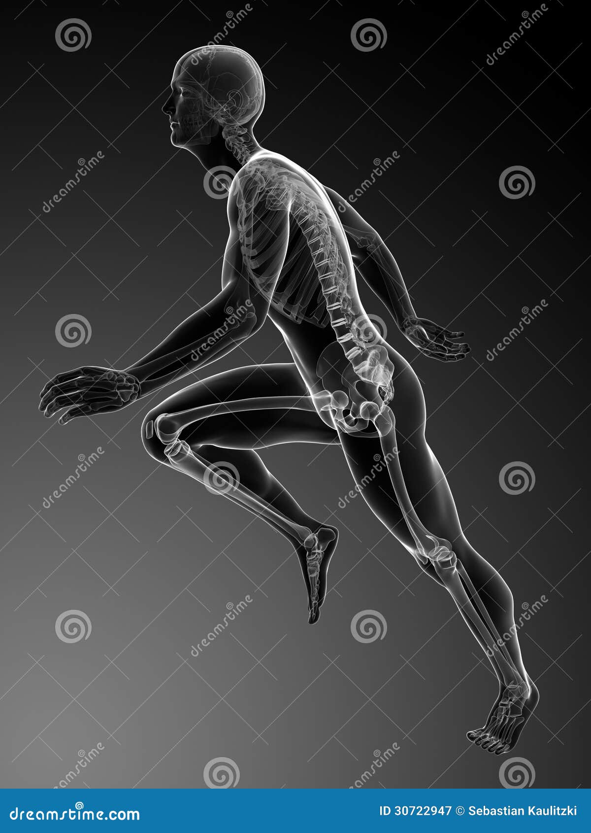 Runner anatomy stock illustration. Illustration of sports - 30722947