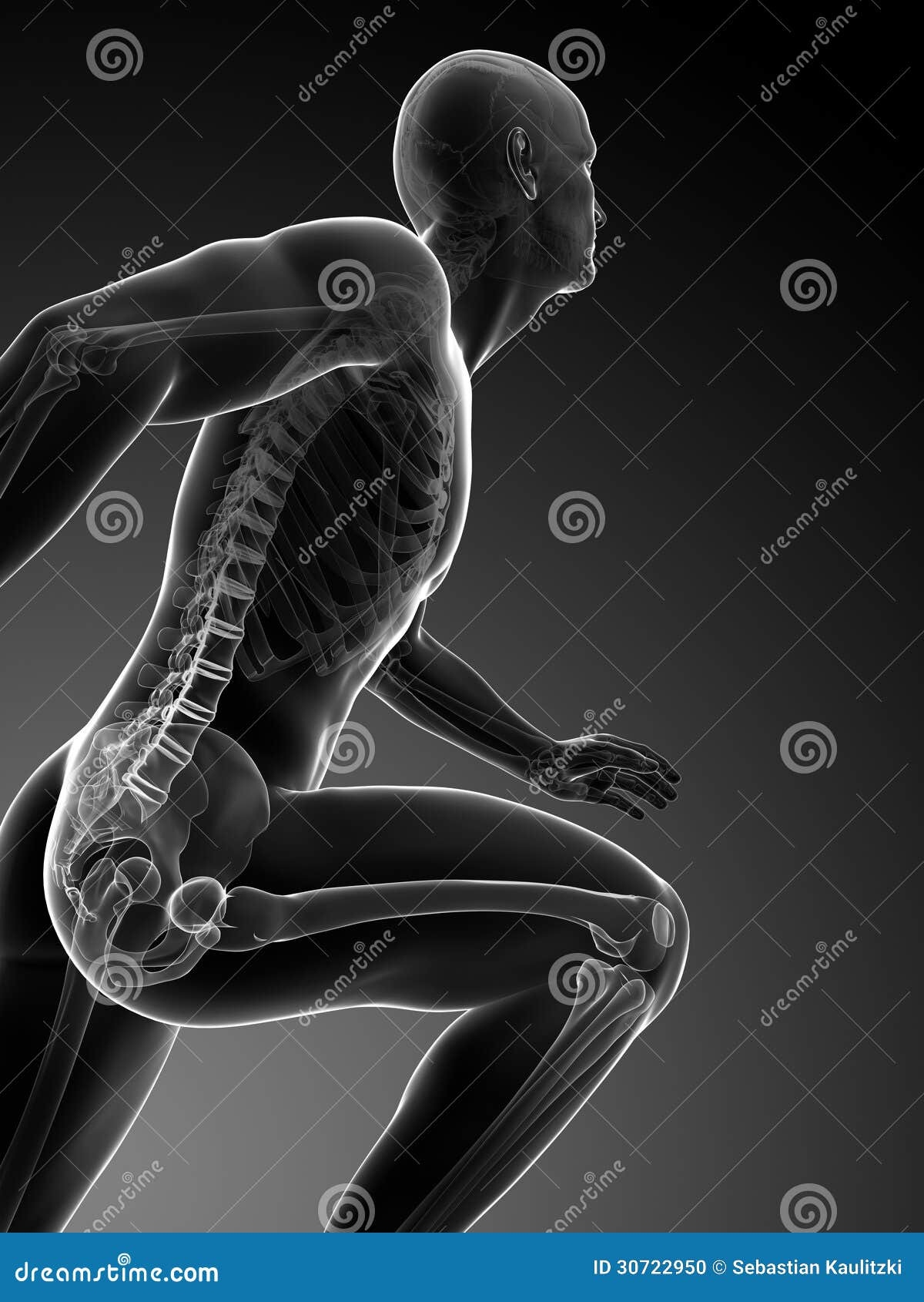 Runner anatomy stock illustration. Illustration of rendering - 30722950