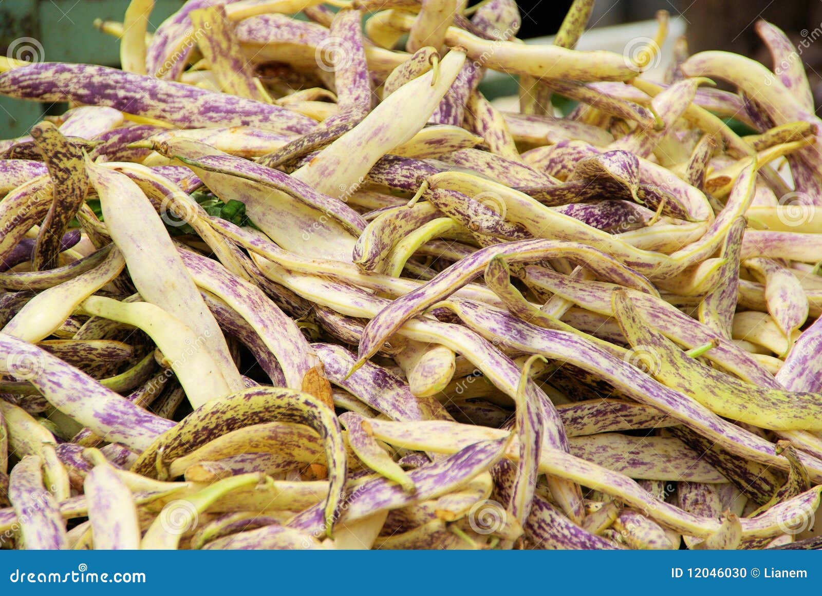 Runner bean stock photo. Image of legume, vegetarian - 12046030
