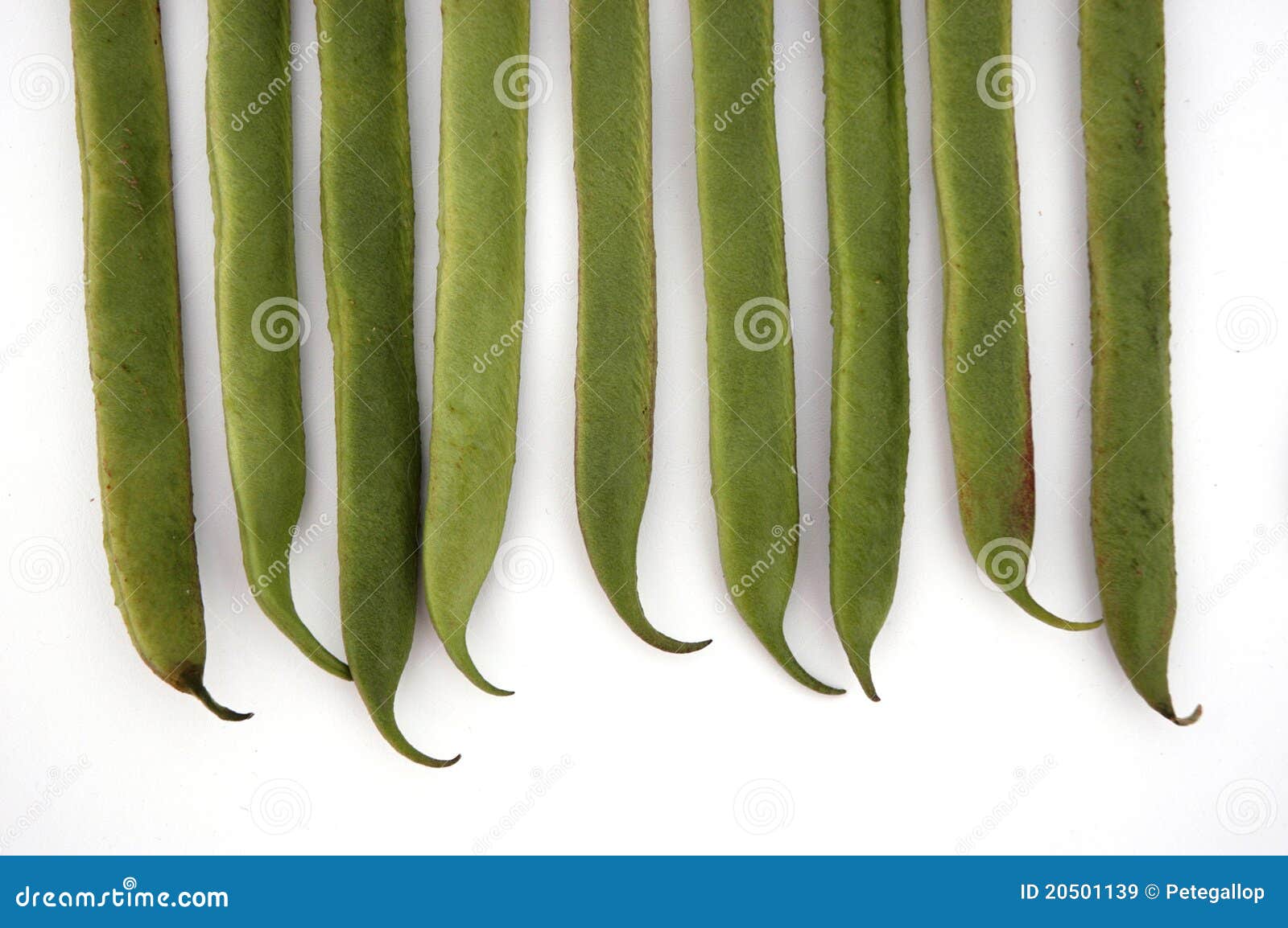 Runner Beans stock image. Image of fresh, crop, runner - 20501139
