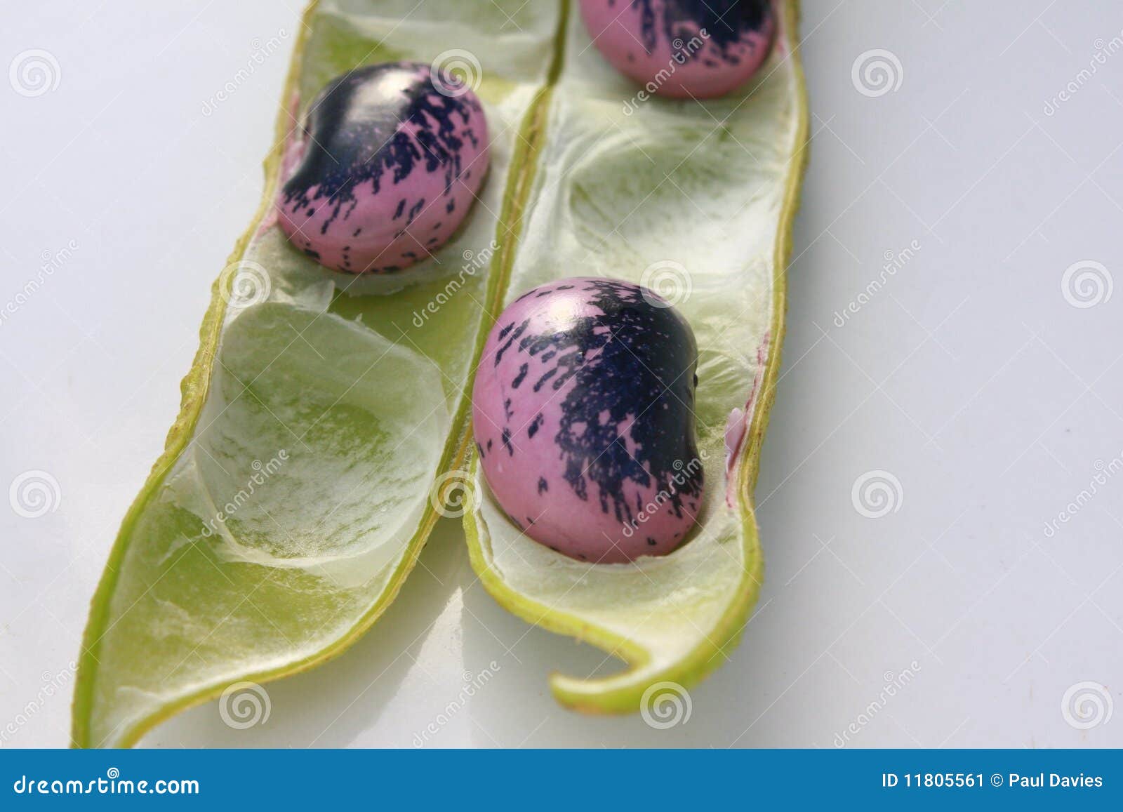 Runner Beans in the Pod stock image. Image of preparation - 11805561
