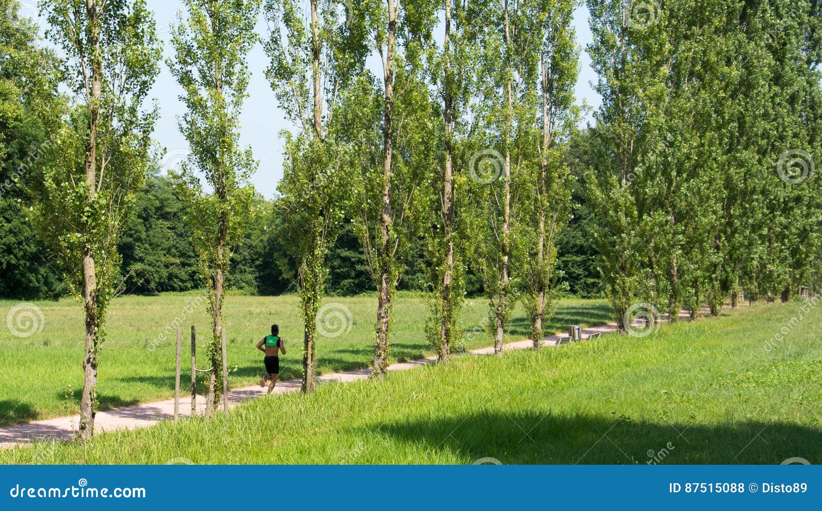 Runner on the cycle path editorial stock photo. Image of trees - 87515088