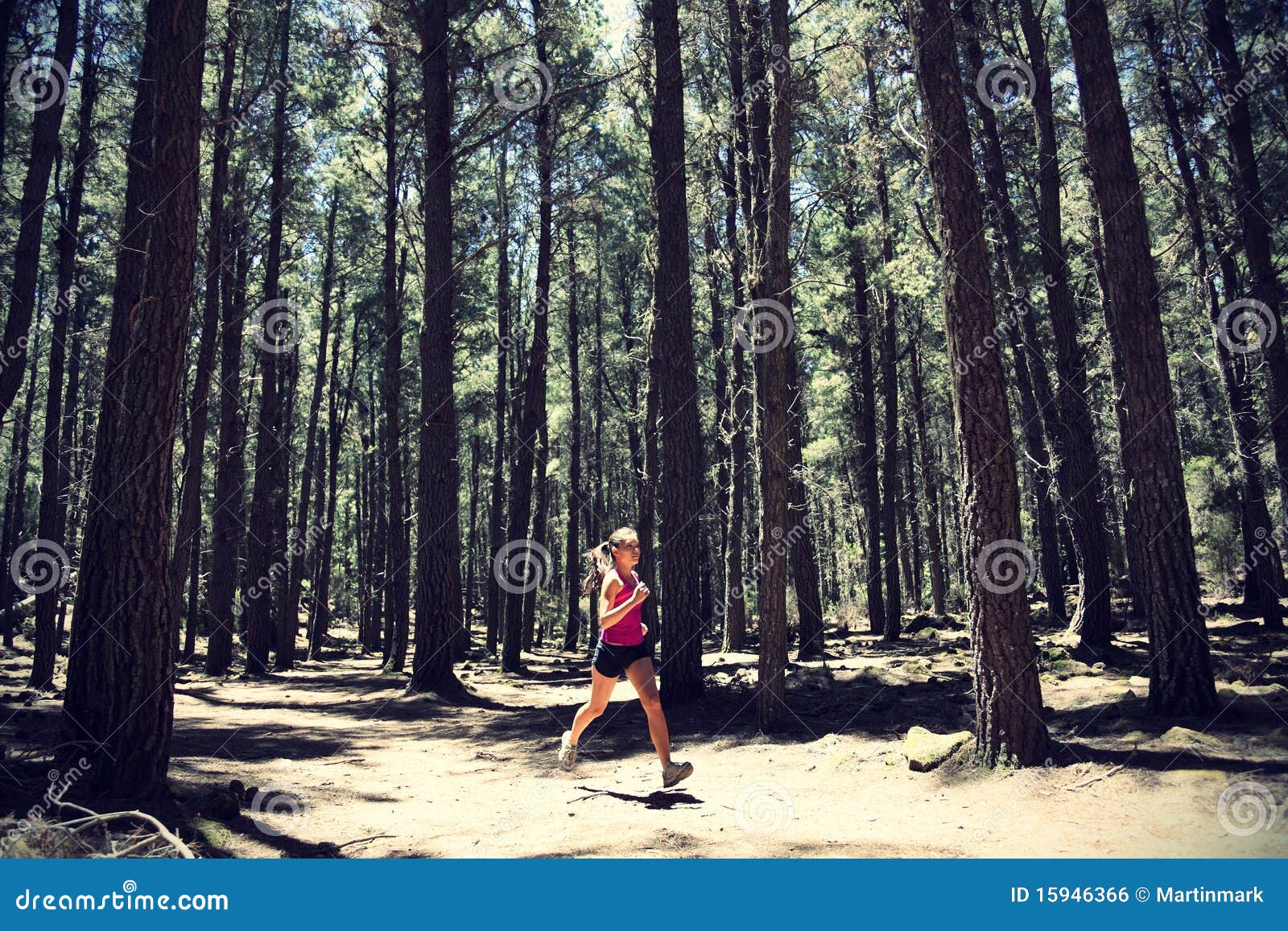Runner in Forest stock photo. Image of landscape, background - 15946366