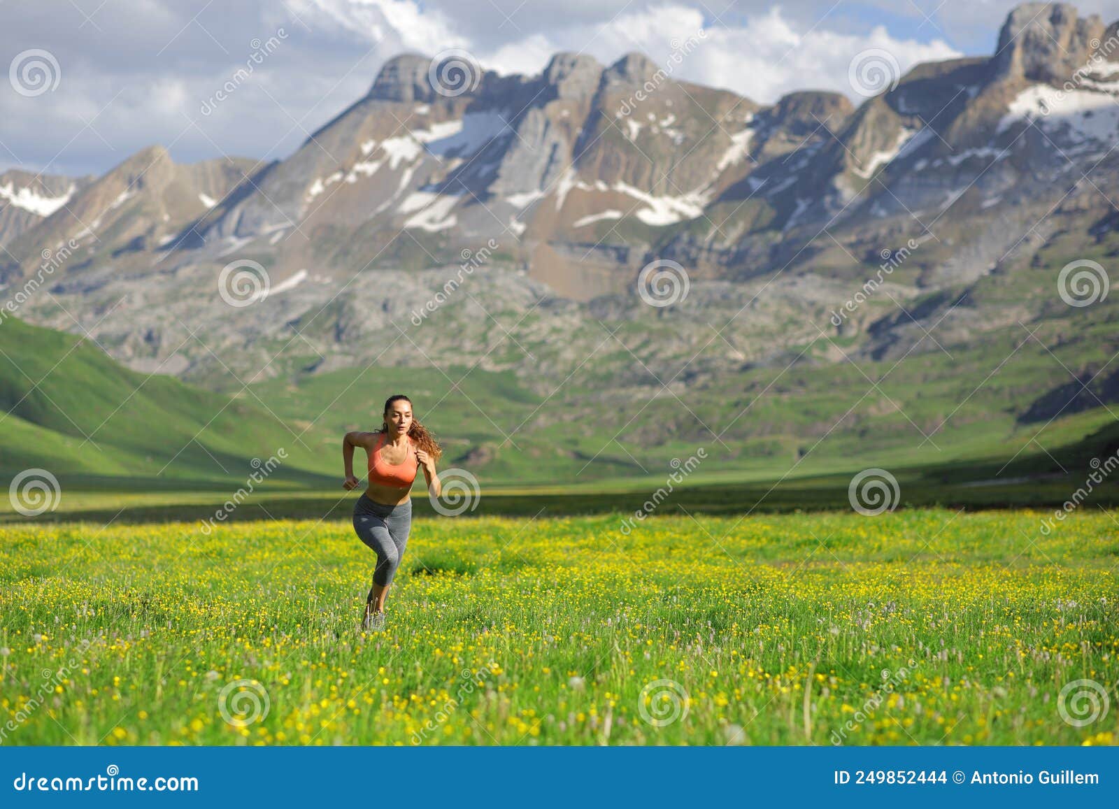Runner Running in a Field in a High Mountain Stock Photo - Image of ...