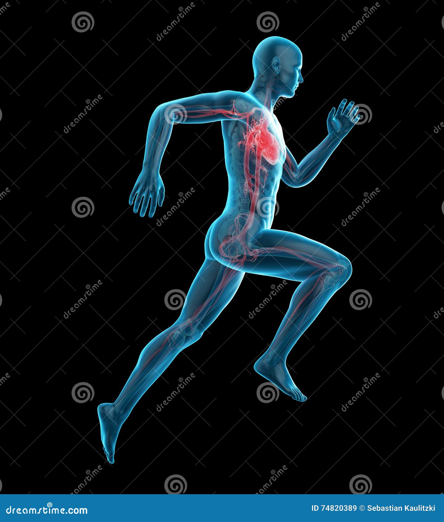 A runnerÂ´s heart stock illustration. Illustration of running - 74820389